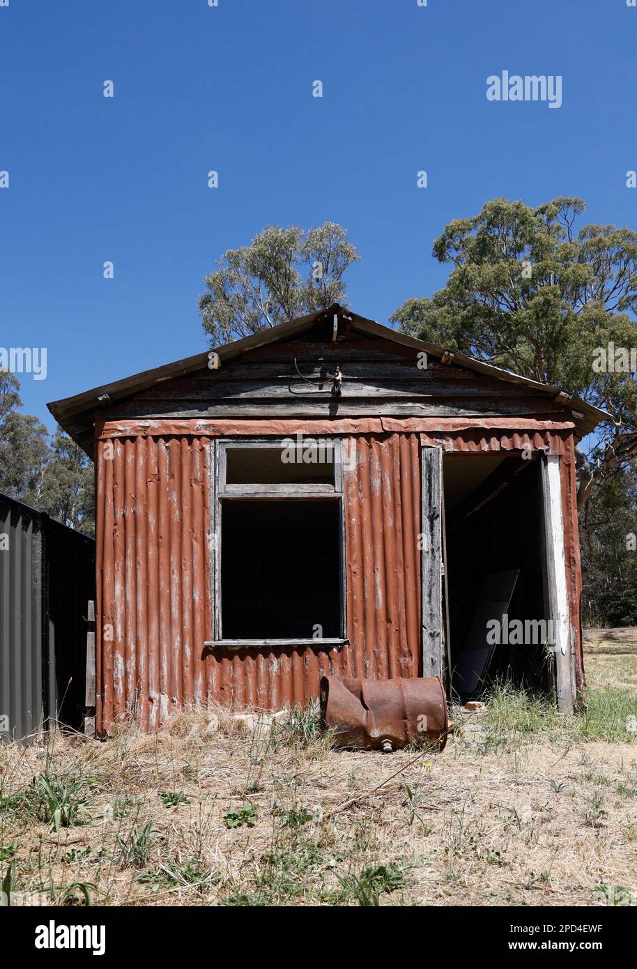 Old rusting tin shed in Glenmaggie, Victoria Australia © Juergen ...