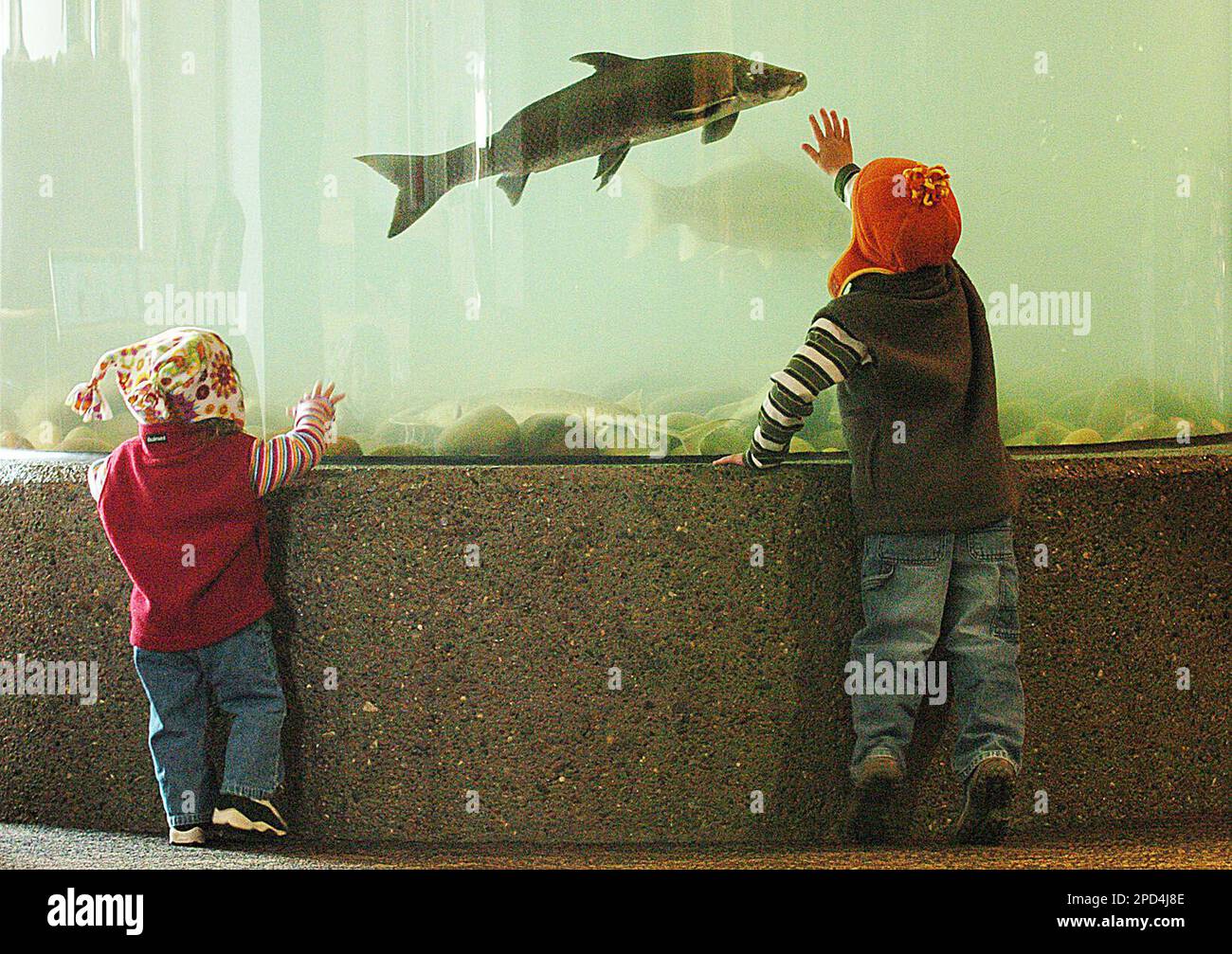 Calvin Bengochea, 4, right, reaches toward a blue sucker Thursday, May ...