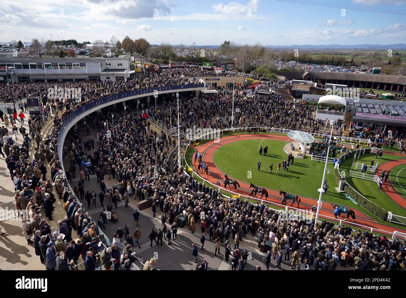 Horses in the parade ring ahead of the Ultima Handicap Chase on day one ...