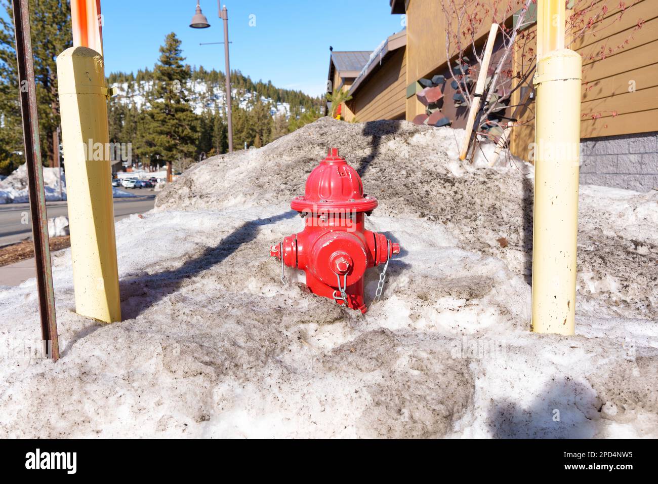 Vibrant fire hydrant in a layer of dirty snow. Reminder of the ...