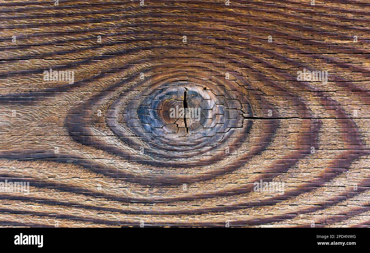 Glimpse into Nature's Beauty: Organic beauty of a textured wooden ...