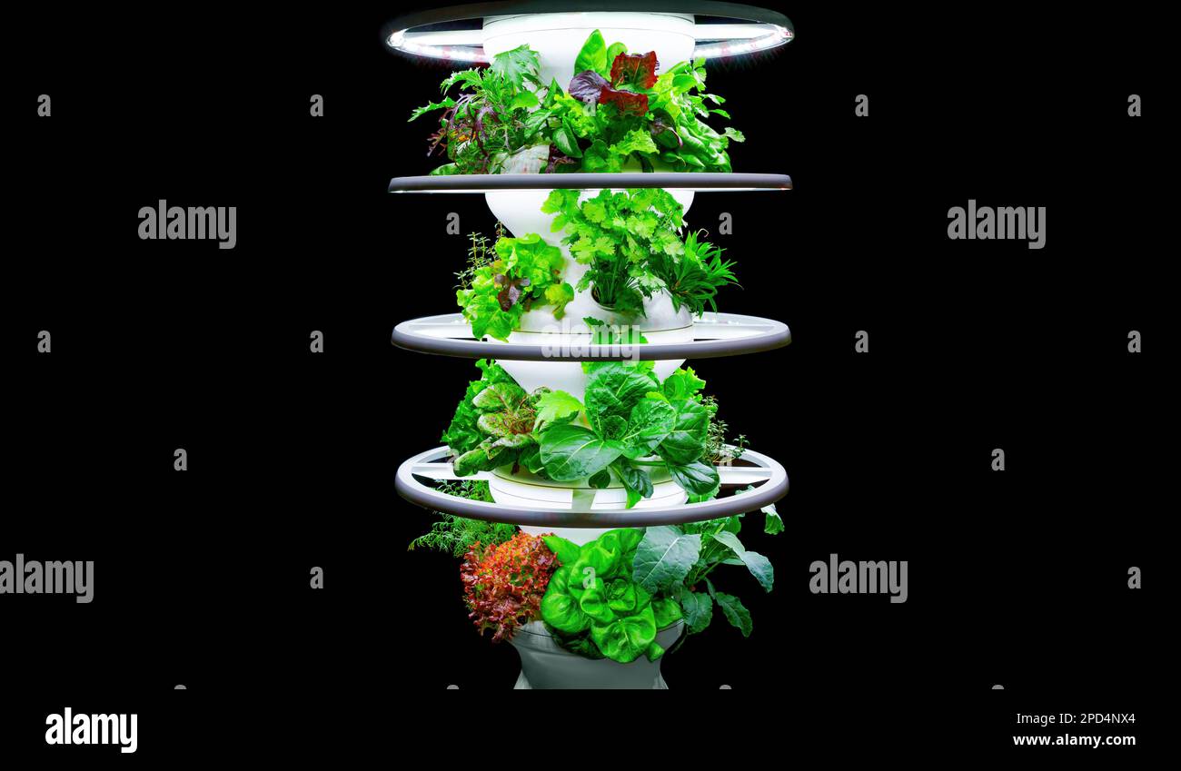 Hydroponic system home hi-res stock photography and images - Alamy