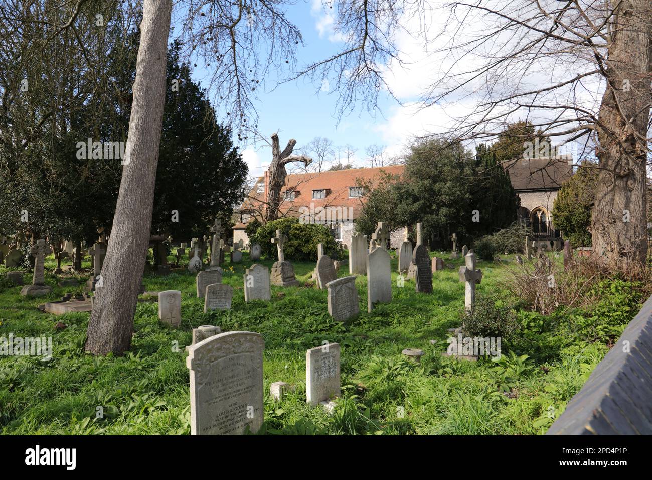 Merton place nelson hi-res stock photography and images - Alamy