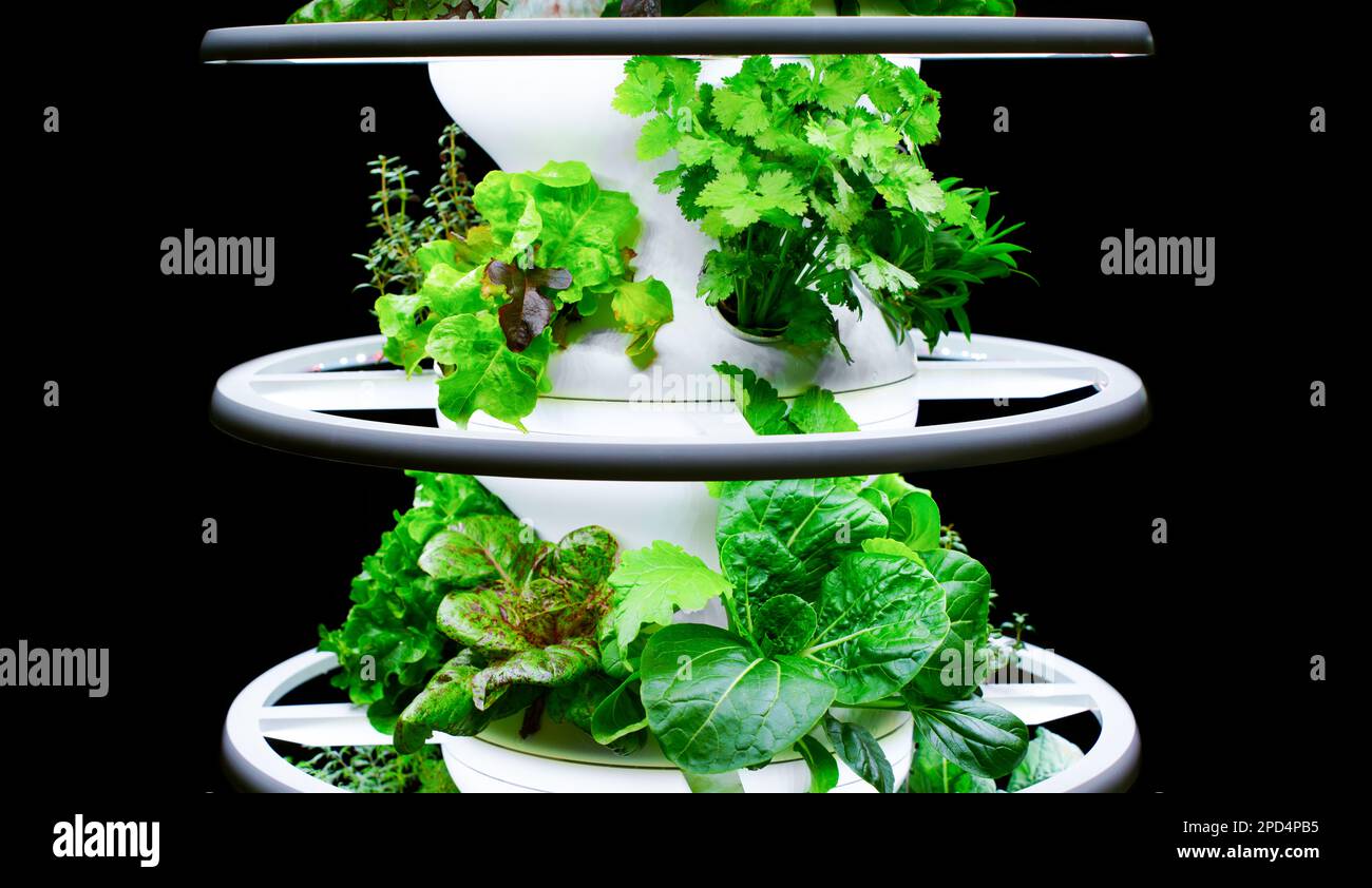 Vertical Garden with Diverse Herbs and Vegetables: innovative rotating ...