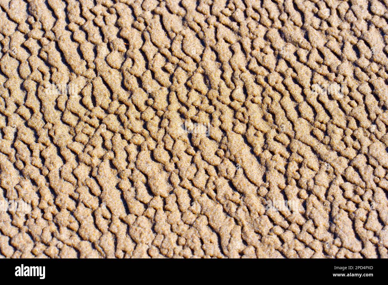 Abstract sand background hi-res stock photography and images - Alamy