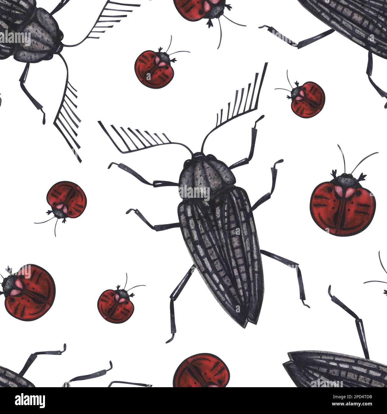 SSeamless pattern Realistic beetles insect isolated on white background ...
