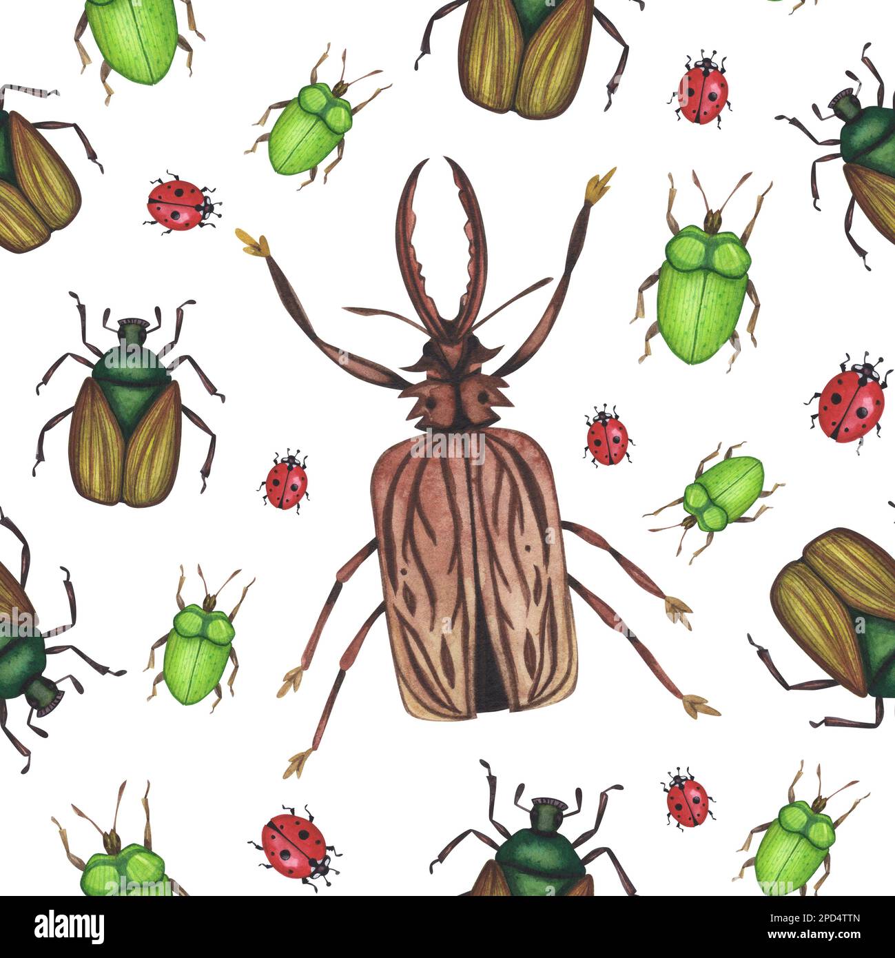 Seamless pattern Realistic brown beetles insect isolated on white ...