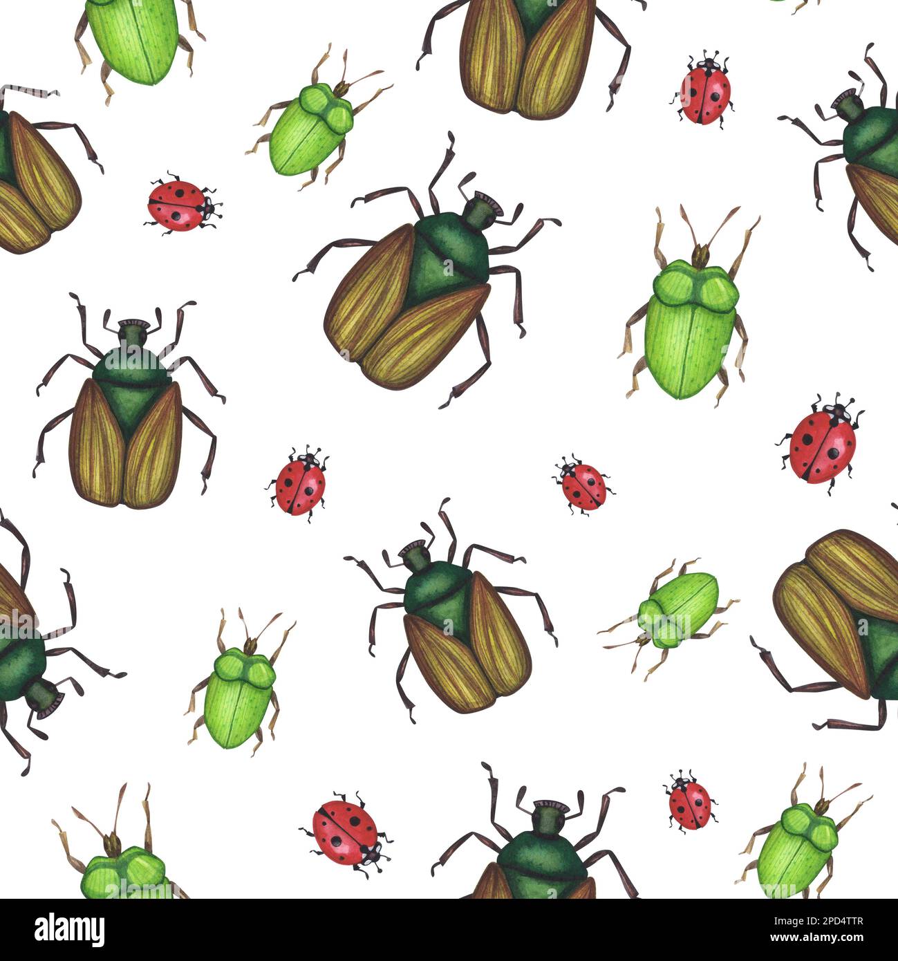 Seamless pattern Realistic beetles insect isolated on white background ...