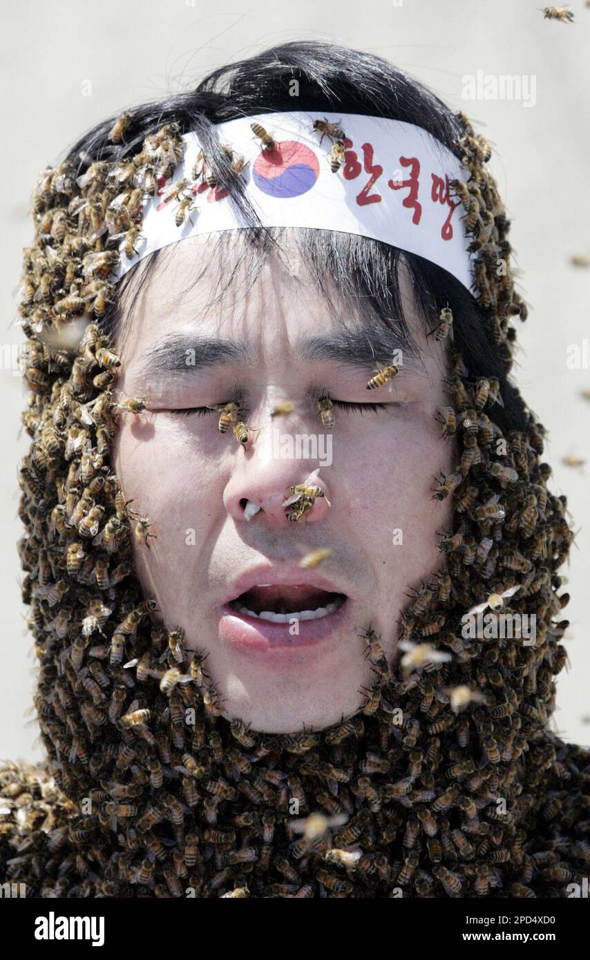South Korean bee farmer Ahn Sang-kyu is swarmed with bees in Seoul ...