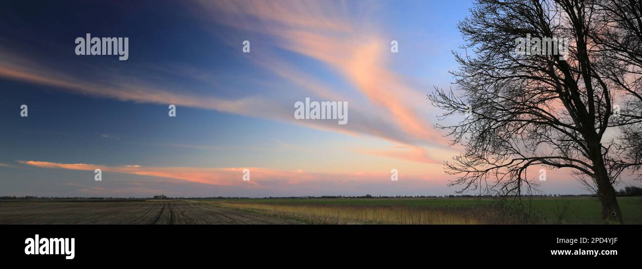 Autumn sunset colours over a Fenland field, near Ely, Cambridgeshire ...