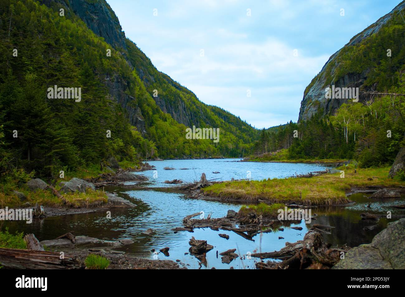 Avalanche Lake in June in the High Peaks Wilderness Area of the ...
