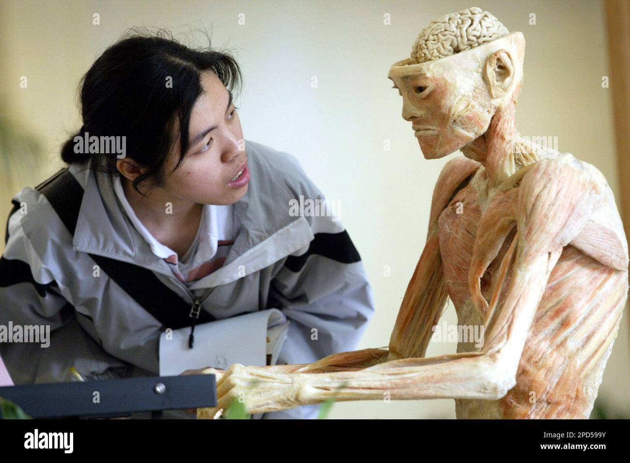 A Chinese visitor takes a close look at a preserved human body at an ...
