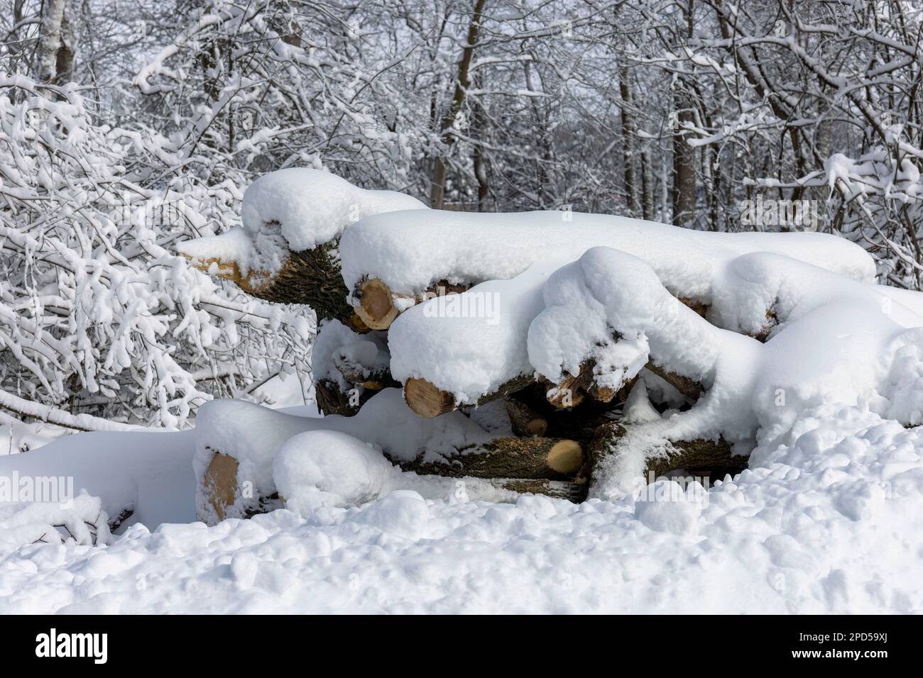 New heavy snow on the park, a stack of wood covered with a layer of ...