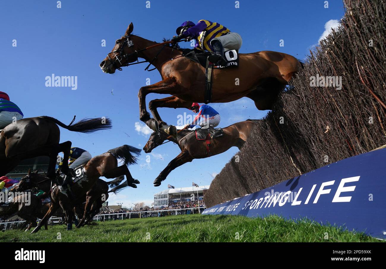 Corach rambler chase cheltenham hi-res stock photography and images - Alamy