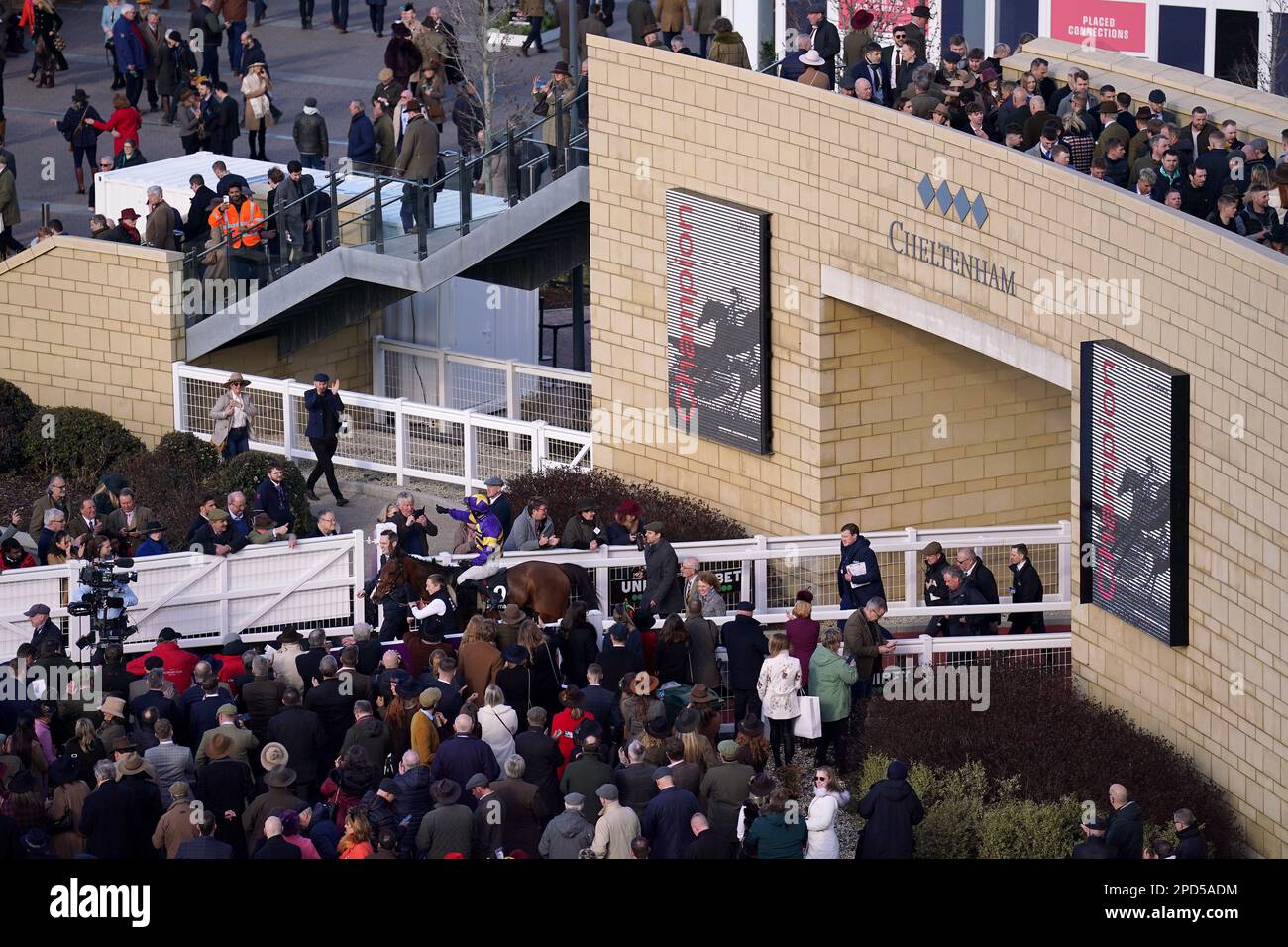 Corach Rambler ridden by jockey Derek Fox head back in after winning ...