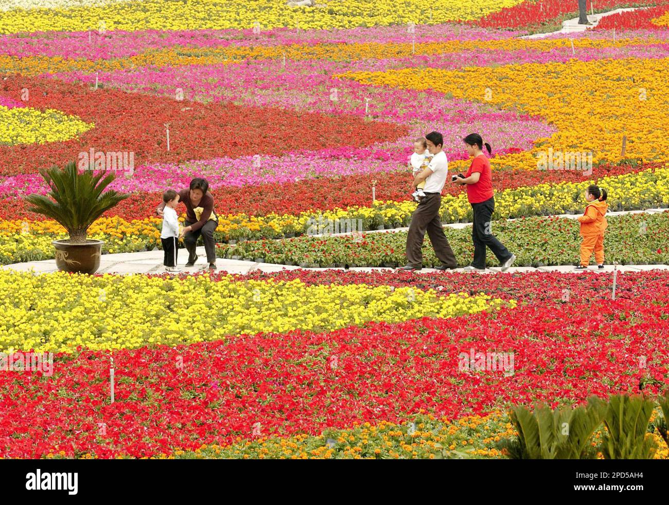 Tourists take a walk in the Jinghu Urban Wetland Park in Shaoxing, east ...