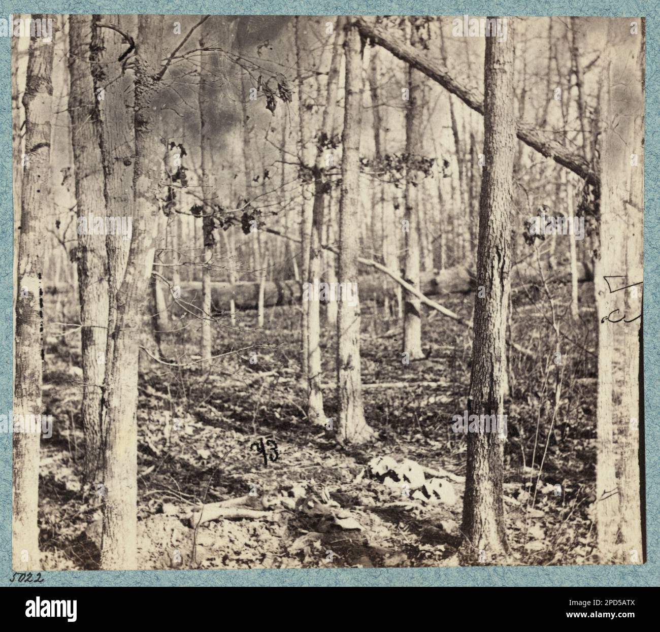 Views in the woods in the Federal lines on north side of Orange Plank ...