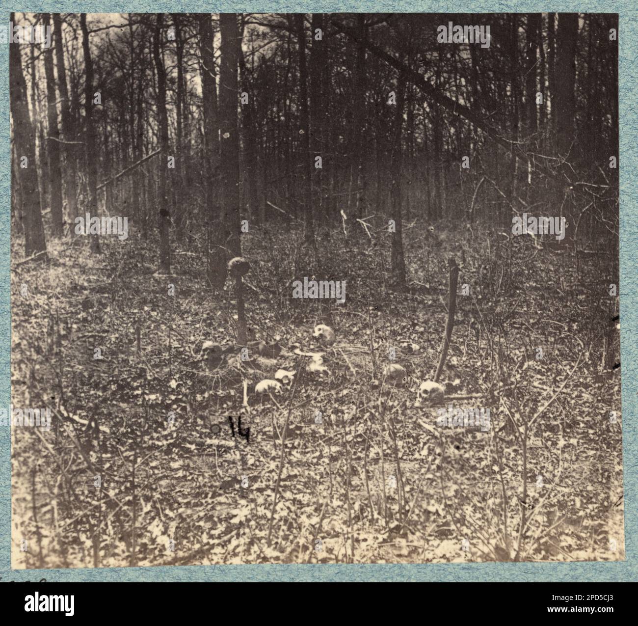 The Casualties Skull