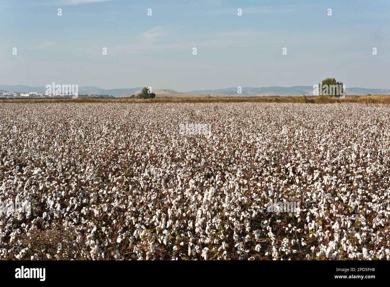 Lubbock texas farm hi-res stock photography and images - Alamy