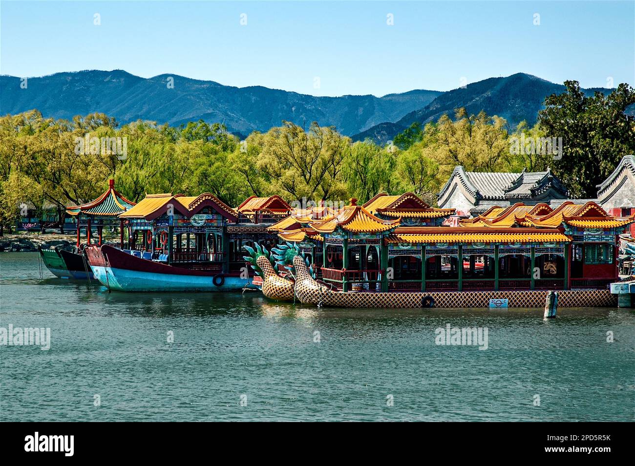 Two Dragon Boats with bronze, black and white patterned hulls moored on ...