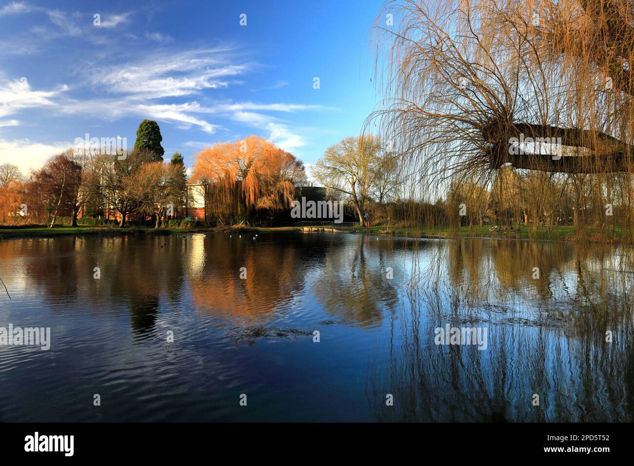 Autumn view over the lake at Wellhead Park, Bourne town; Lincolnshire ...