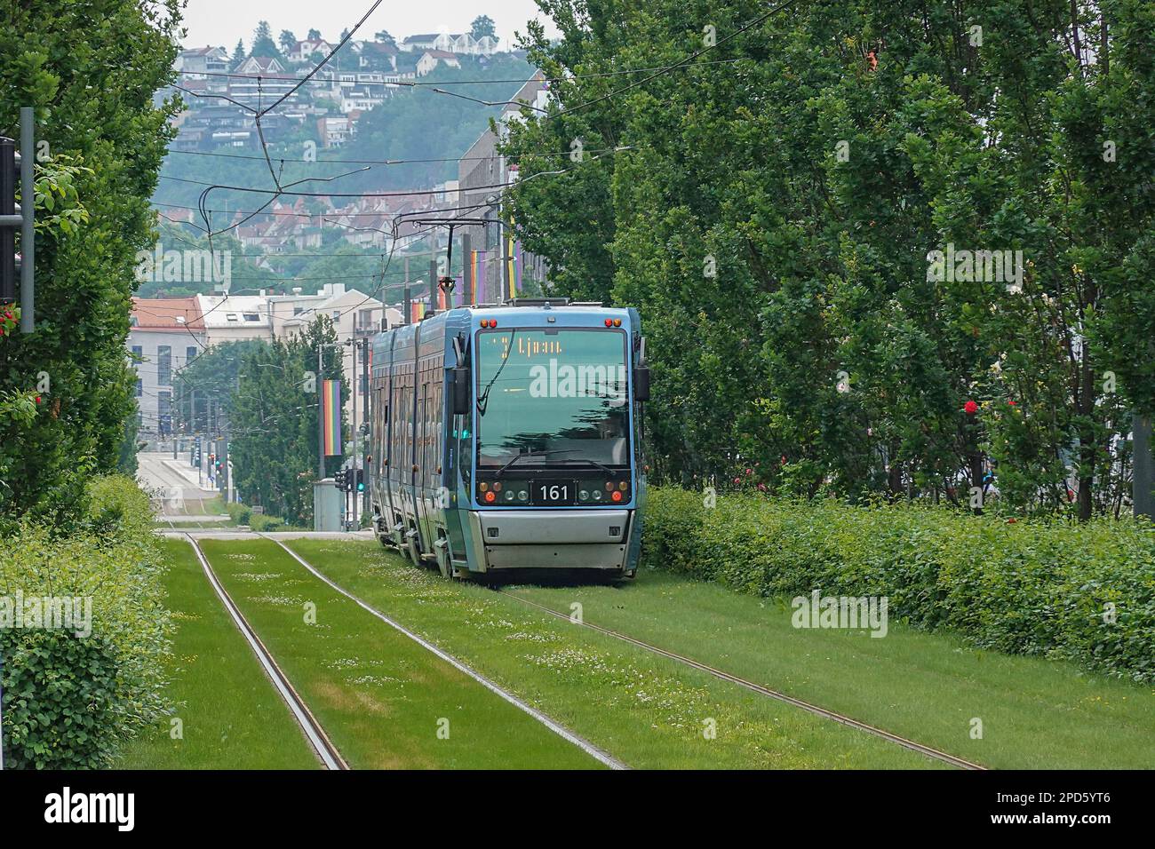 Norway, Oslo, Green grass on the Tram Line Rails in Oslo City Photo ...