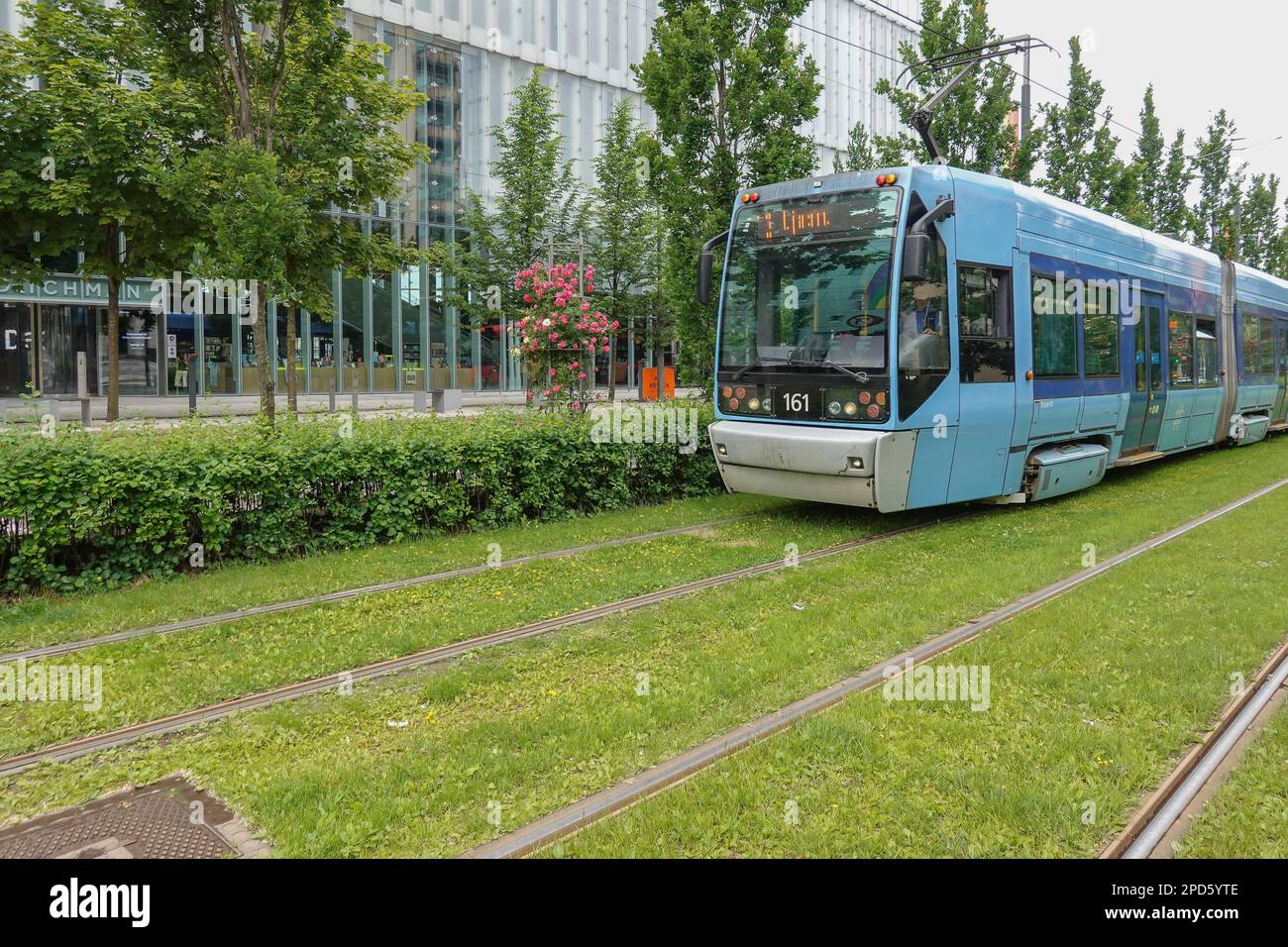 Norway, Oslo, Green grass on the Tram Line Rails in Oslo City Photo ...