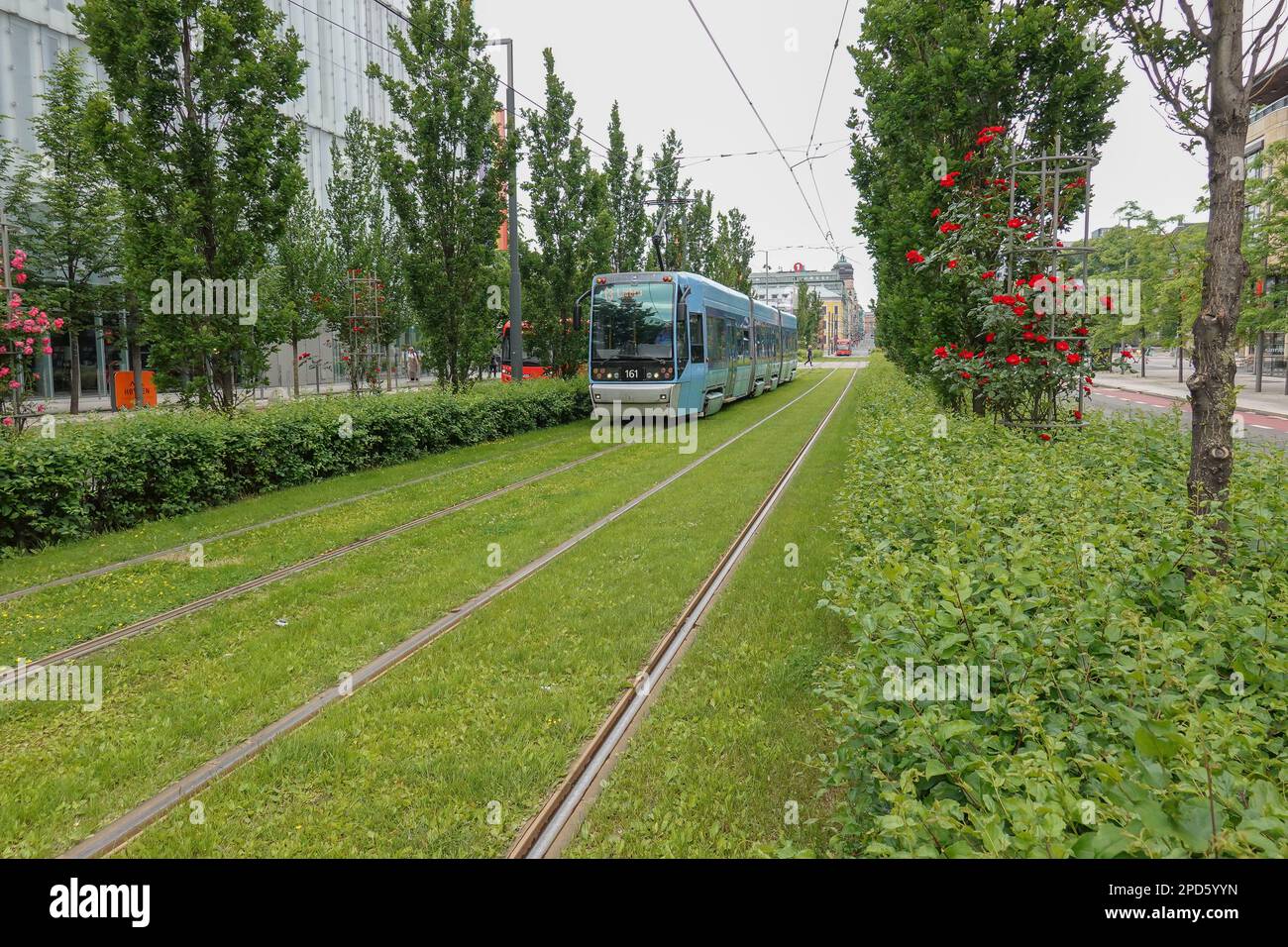 Norway, Oslo, Green grass on the Tram Line Rails in Oslo City Photo ...