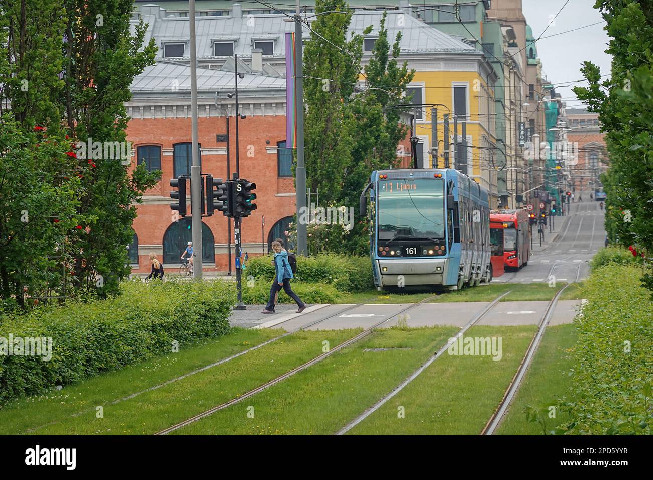 Norway, Oslo, Green grass on the Tram Line Rails in Oslo City Photo ...