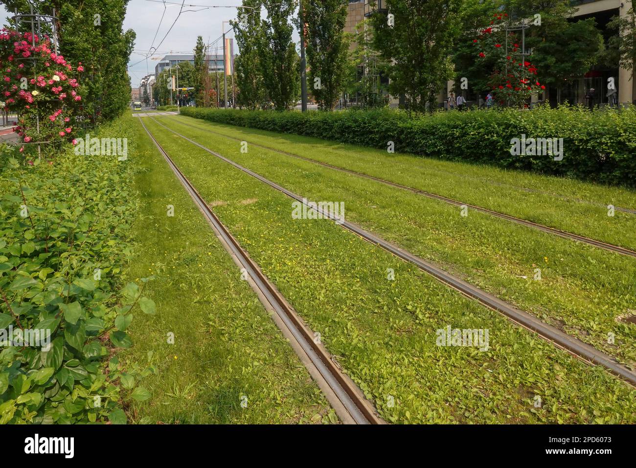 Norway, Oslo, Green grass on the Tram Line Rails in Oslo City Photo ...
