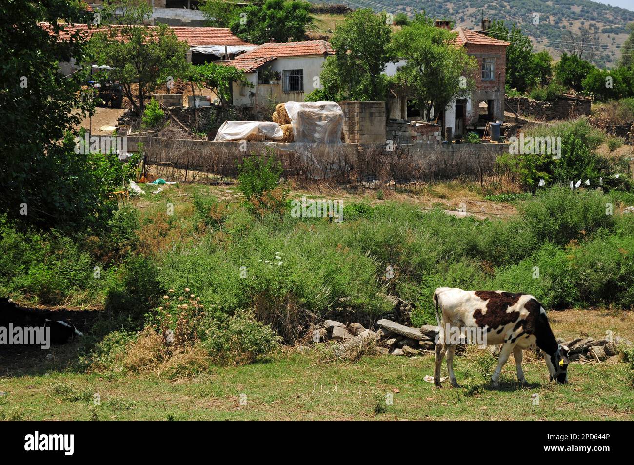 Old Turk Village - Aydin - TURKEY Stock Photo - Alamy