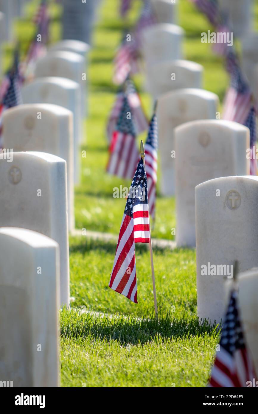 Military headstones honoring armed forces servicemen decorated with ...