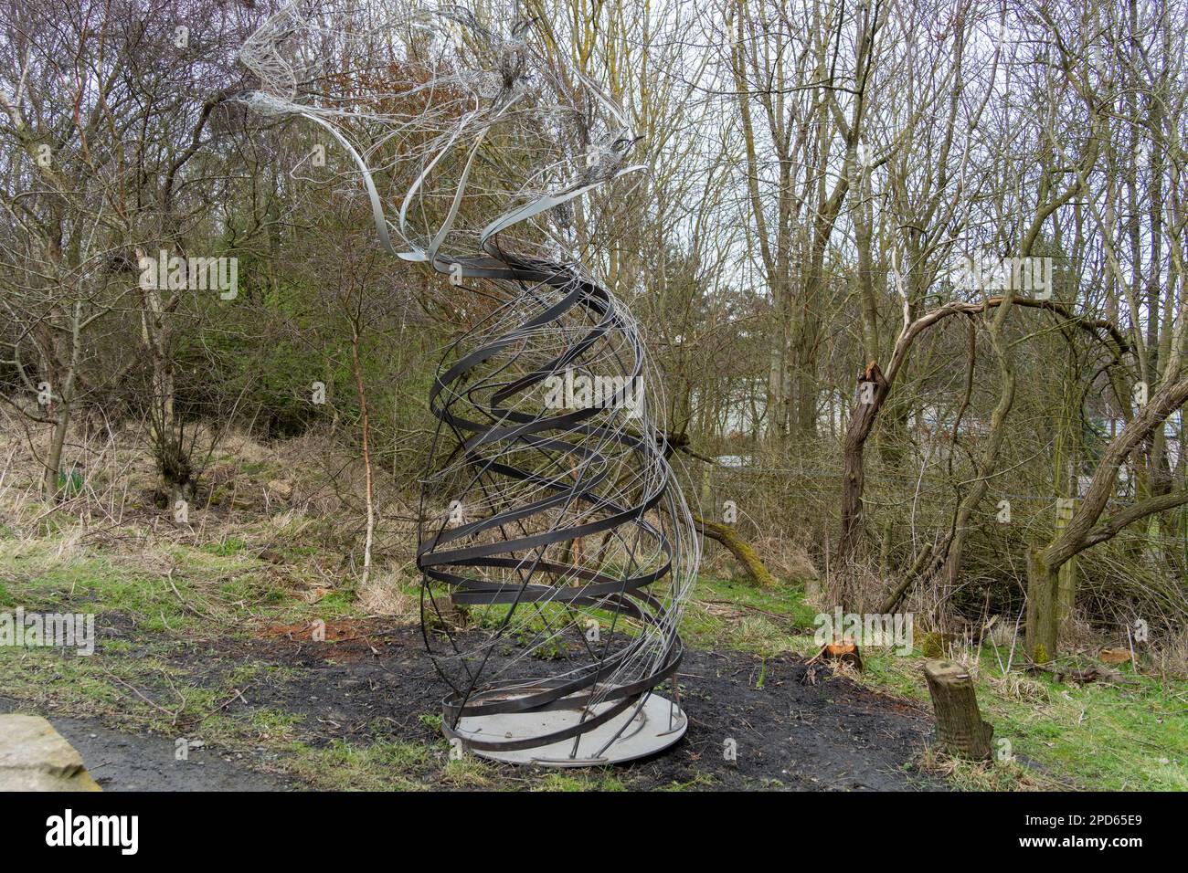 Roseate Terns In Flight by Celia Smith, part of the Bord Waalk ...