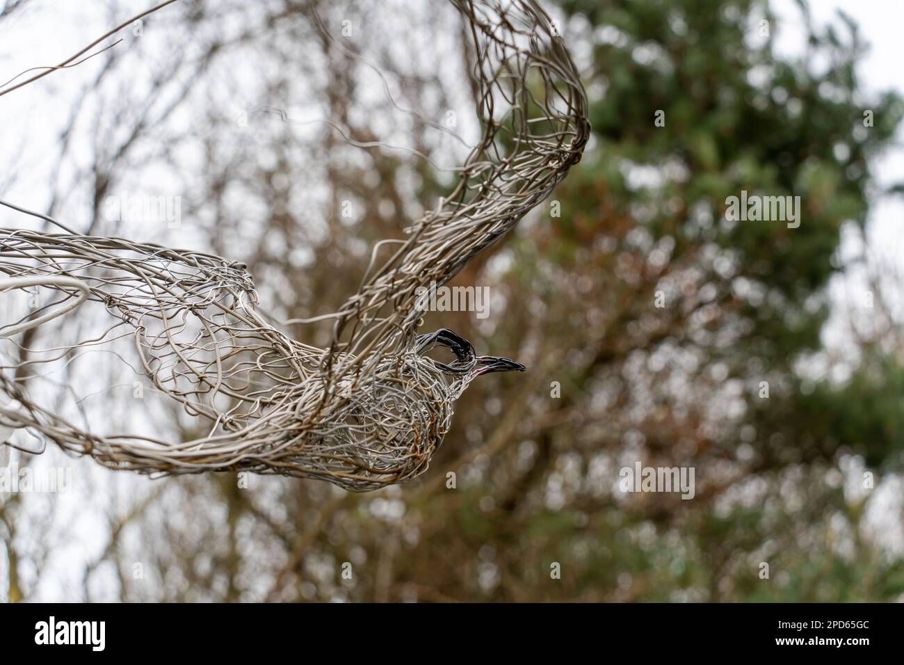 Close up detail of Roseate Terns In Flight by Celia Smith, part of the ...