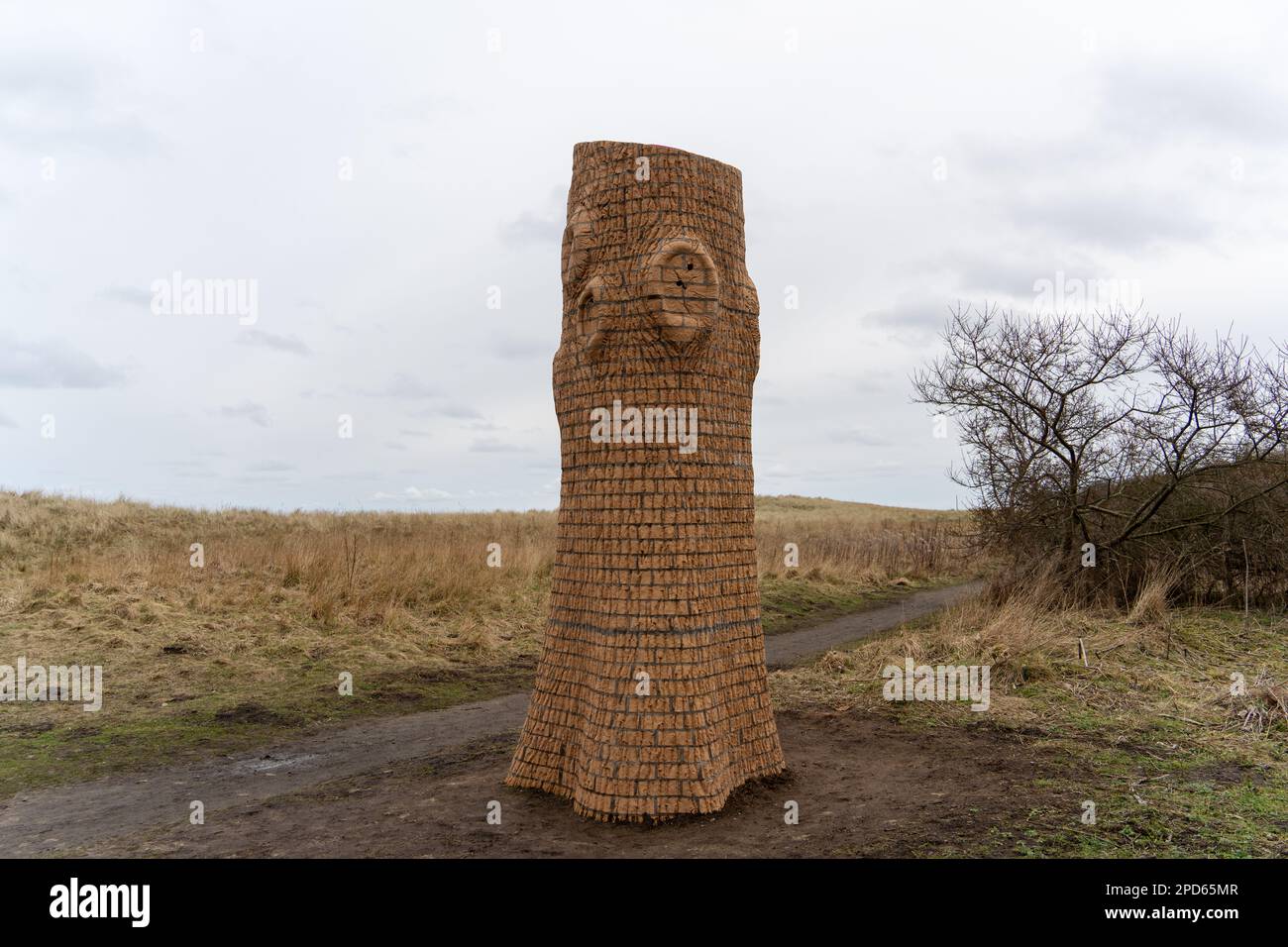 Tree by Rodney Harris, part of the Bord Waalk sculpture trail around ...