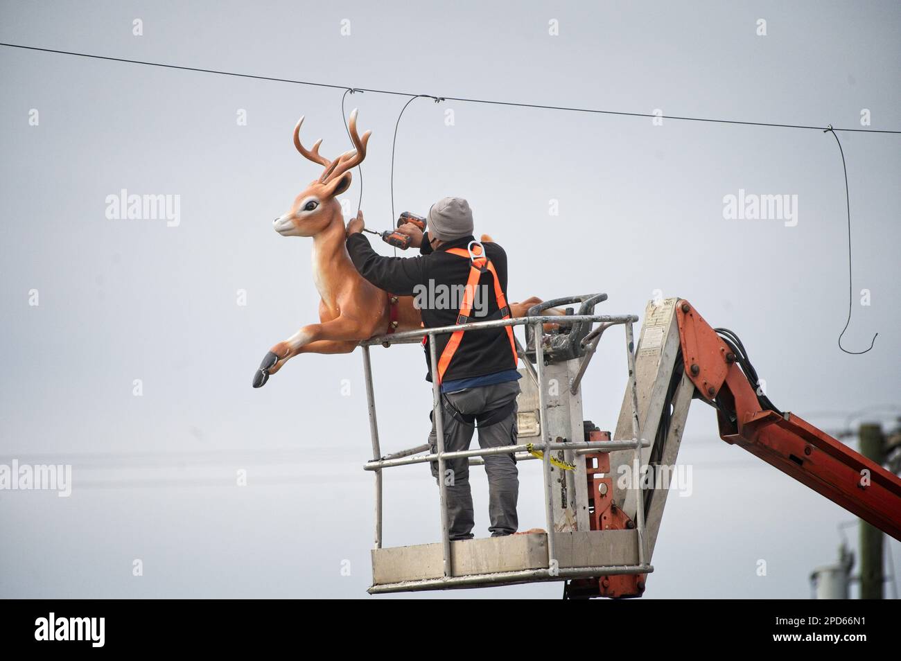 United States:11-29-2022; Town workers set up Santa in his Sleigh at ...