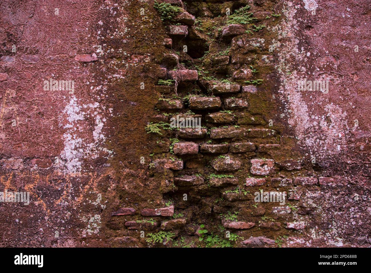 The texture of an old rustic wall is covered with red stucco. Abstract ...