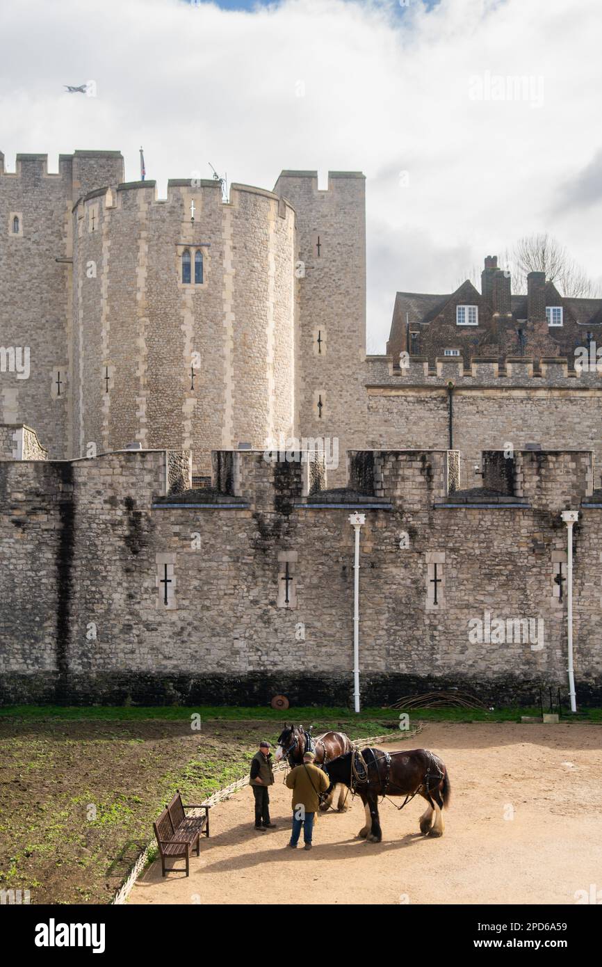 London, UK. 14th Mar, 2023. Shire Horses Harrow the Tower of London's ...
