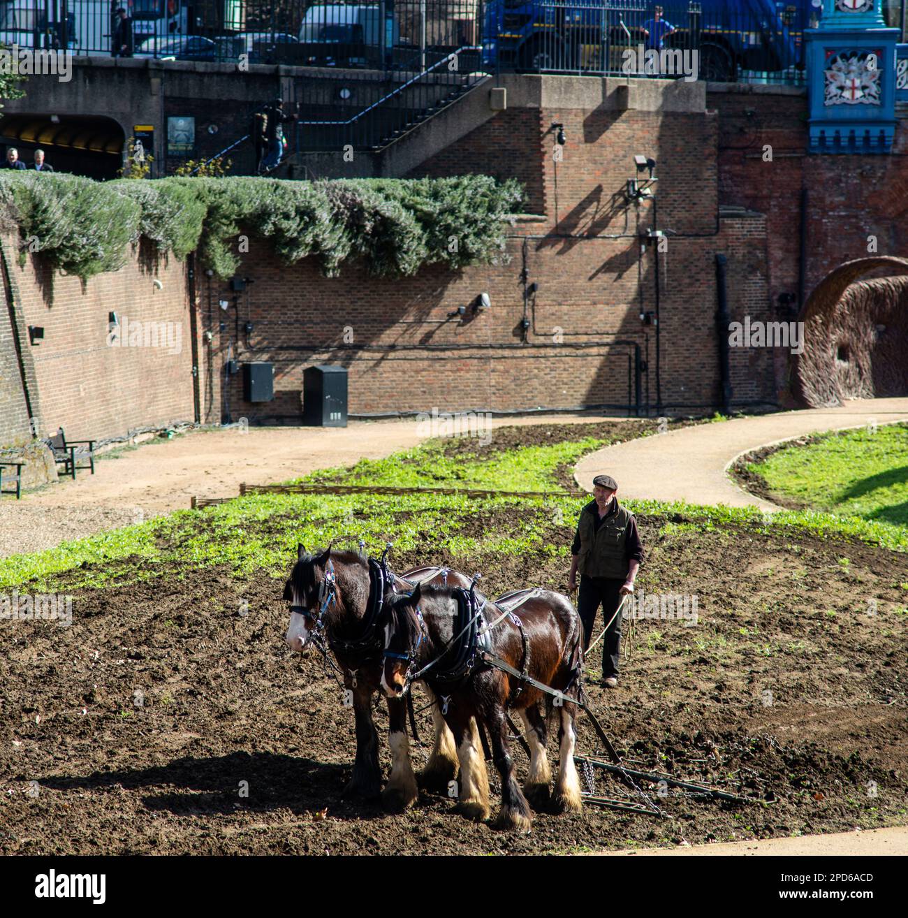 London, UK. 14th Mar, 2023. Shire Horses Harrow the Tower of London's ...
