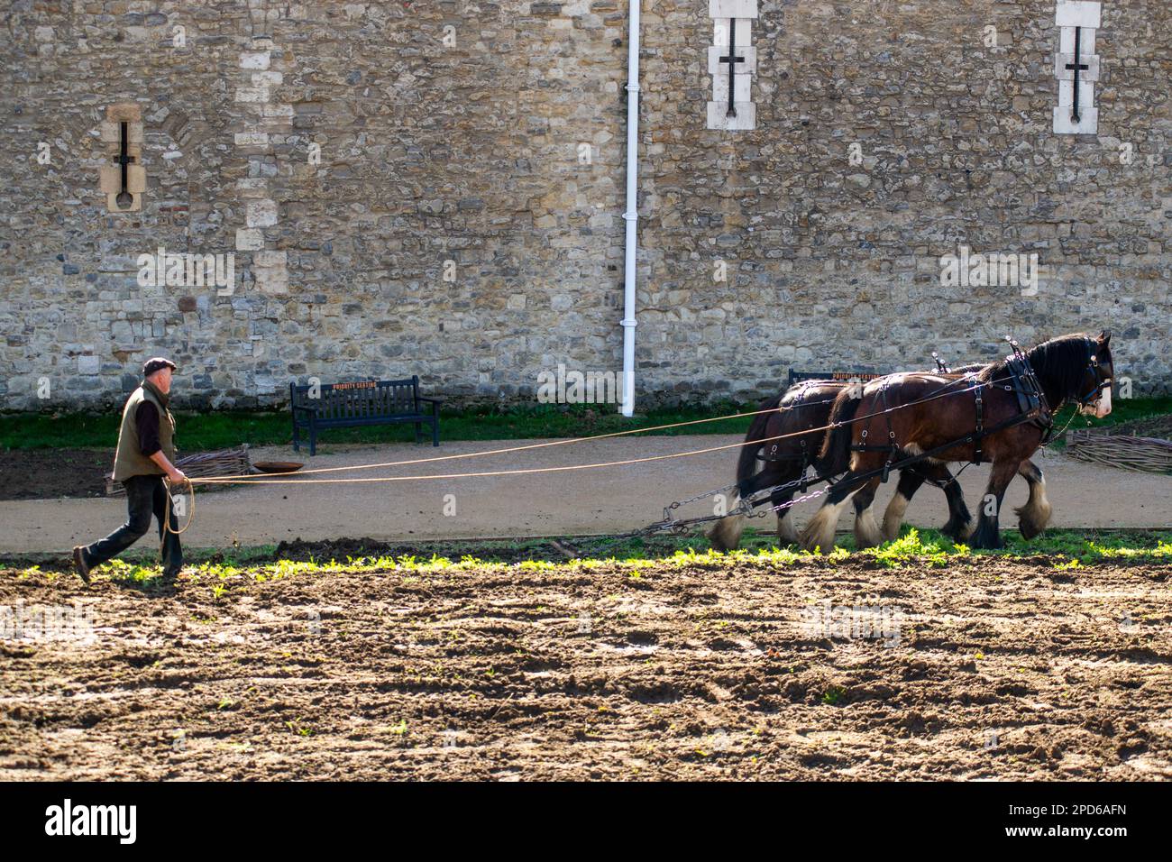London, UK. 14th Mar, 2023. Shire Horses Harrow the Tower of London's ...