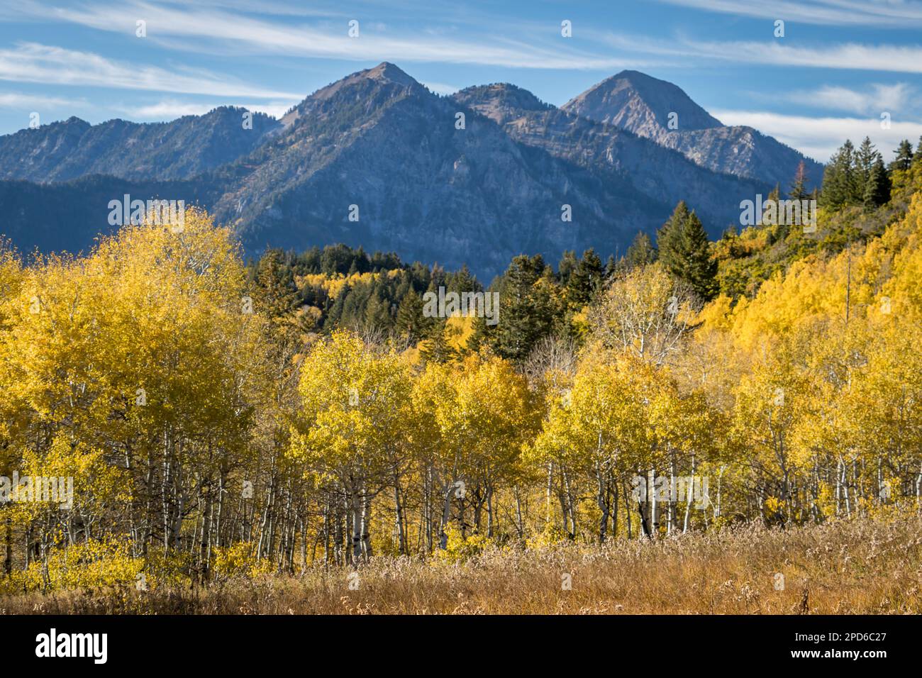 Yellow aspens clouds mountain hi-res stock photography and images - Alamy