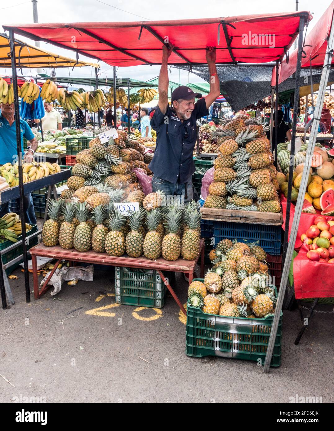 Smiling man at his stall selling pineapples (Ananas comosus) at a ...