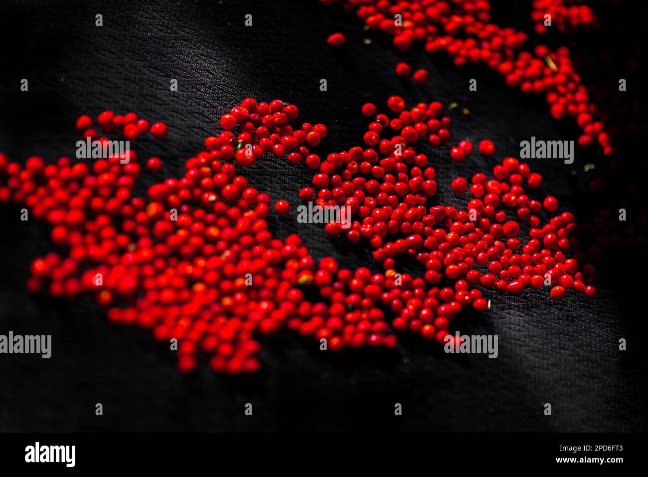 Chiltepin peppers, a wild variety of chili pepper, are seen drying on a ...