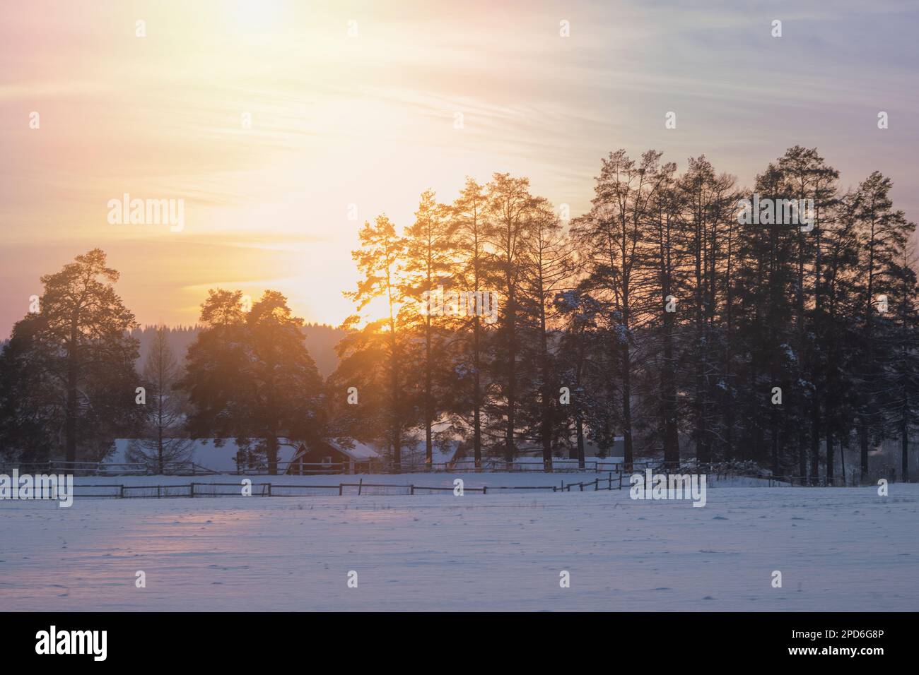 Nature scene sunset forest hi-res stock photography and images - Alamy