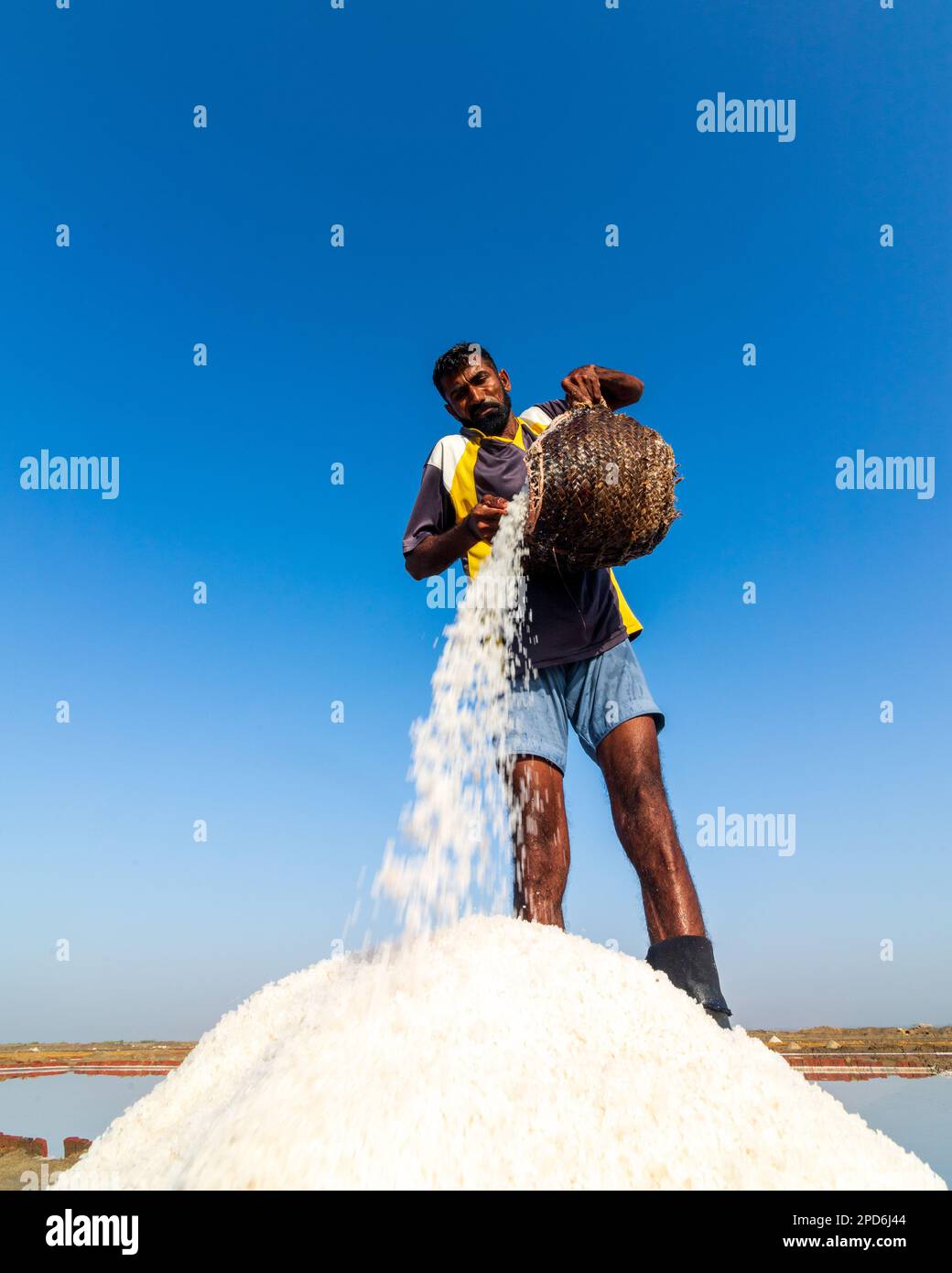 Bhambore Sindh Pakistan 2022, Labor collecting and stacking sea salt at ...