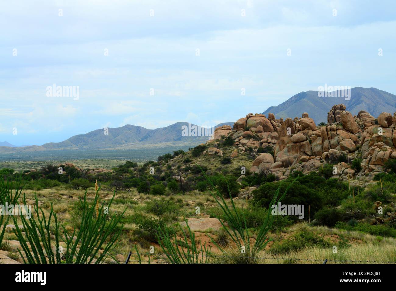 Texas Canyon in the Sonora desert in central Arizona USA Stock Photo ...