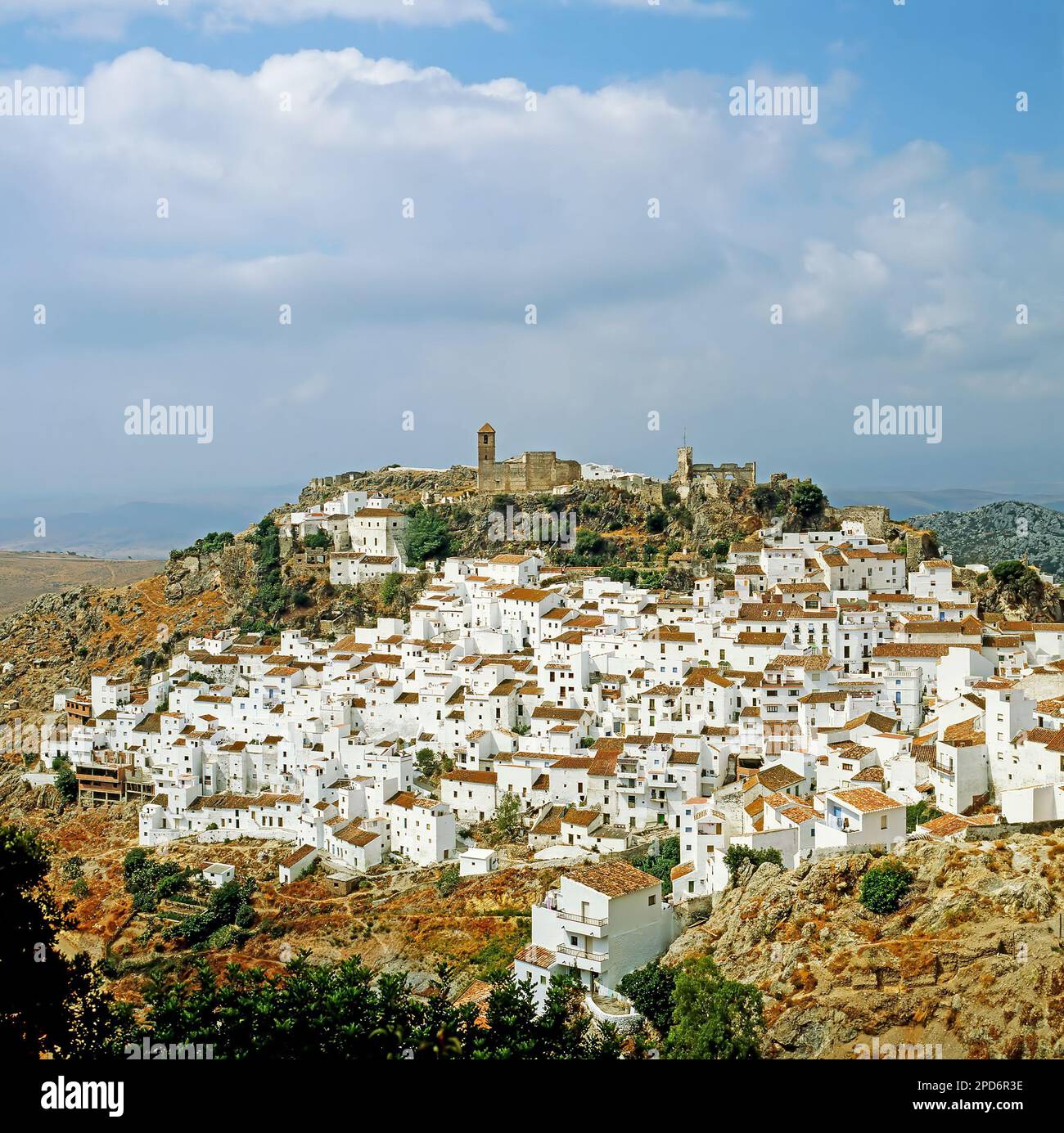 Cosla hi-res stock photography and images - Alamy