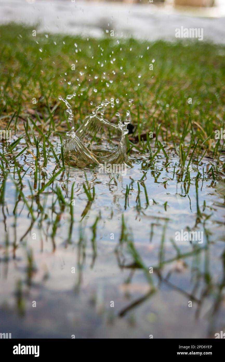 Landing in grass hi-res stock photography and images - Alamy