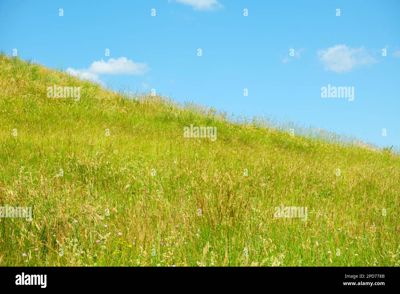 Grassland scenery hi-res stock photography and images - Alamy
