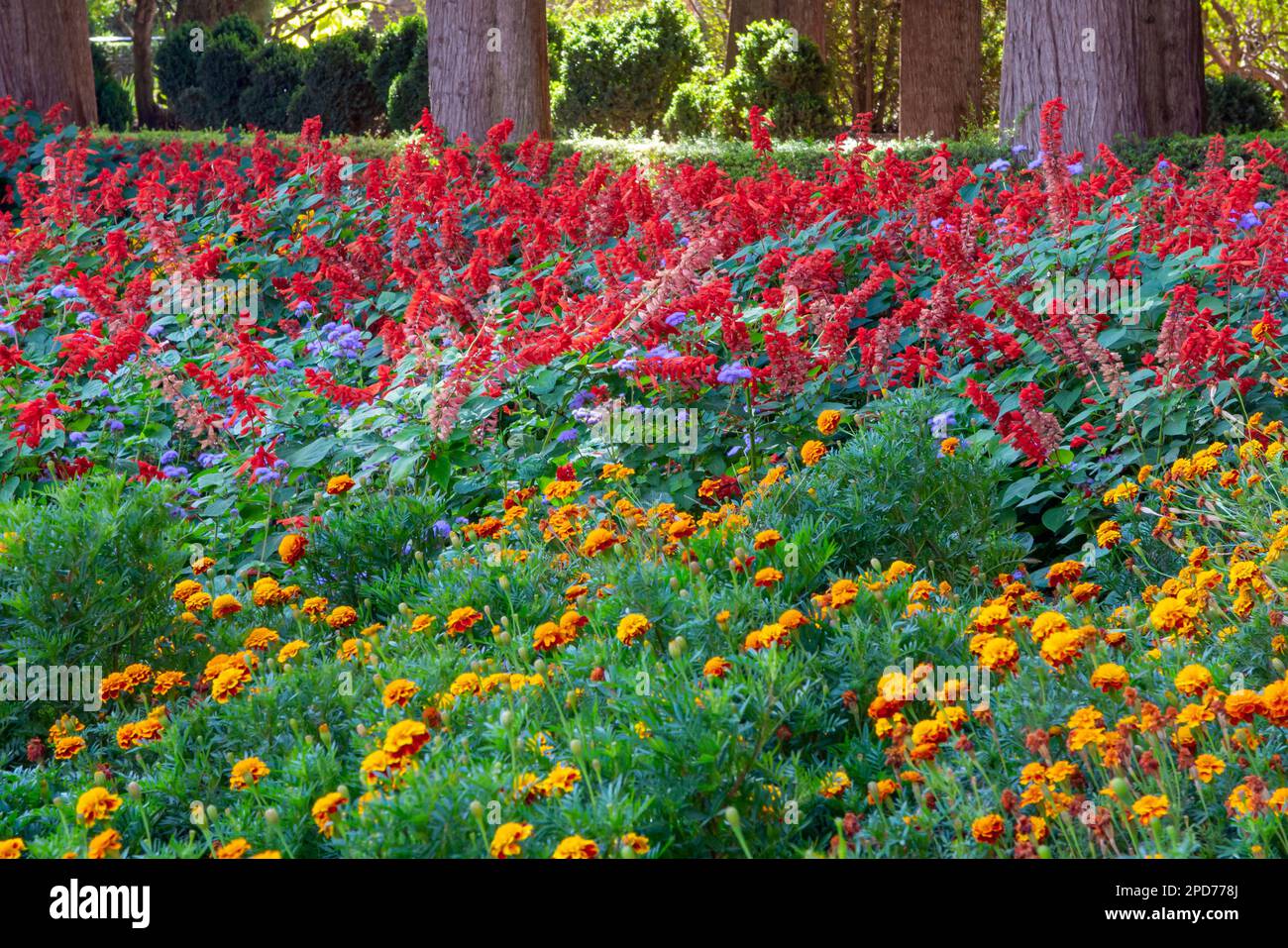Flower beds in the Generalife gardens at the Alhambra Palace in Granada ...